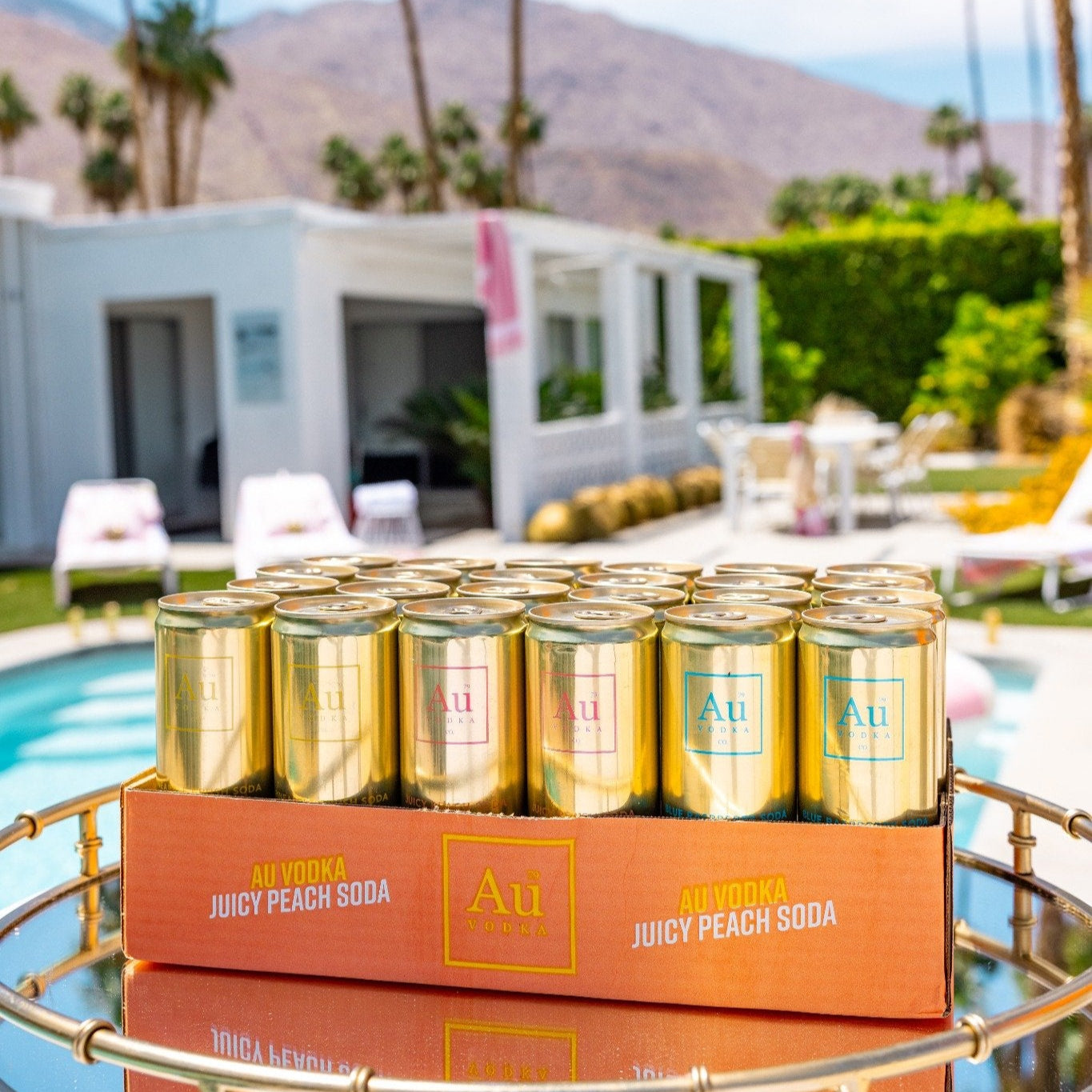Pre-Mixed Vodka Cans Multi Pack - Au Vodka USA – Au Vodka USA